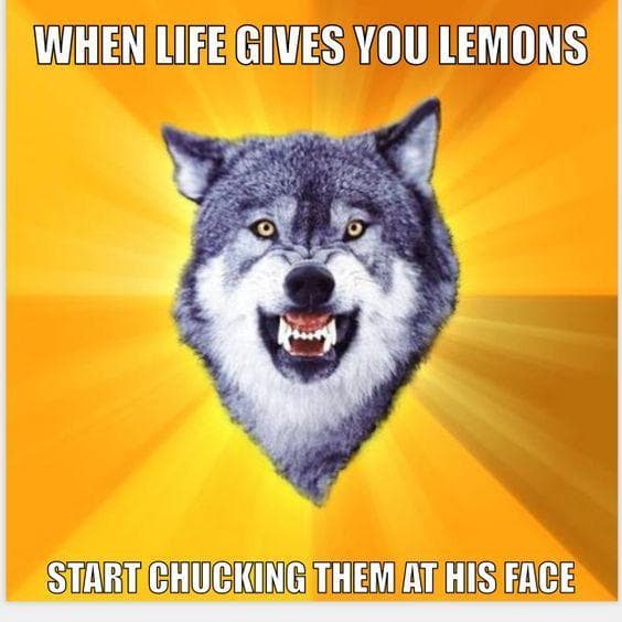 The Courage Wolf Meme List Of The Best Of Courage Wolf