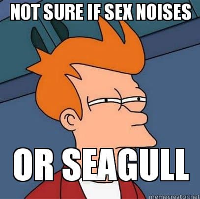 The Very Best of the Futurama Fry Meme