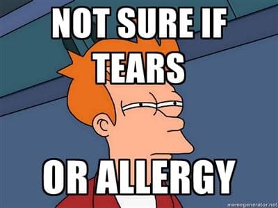 The Very Best of the Futurama Fry Meme