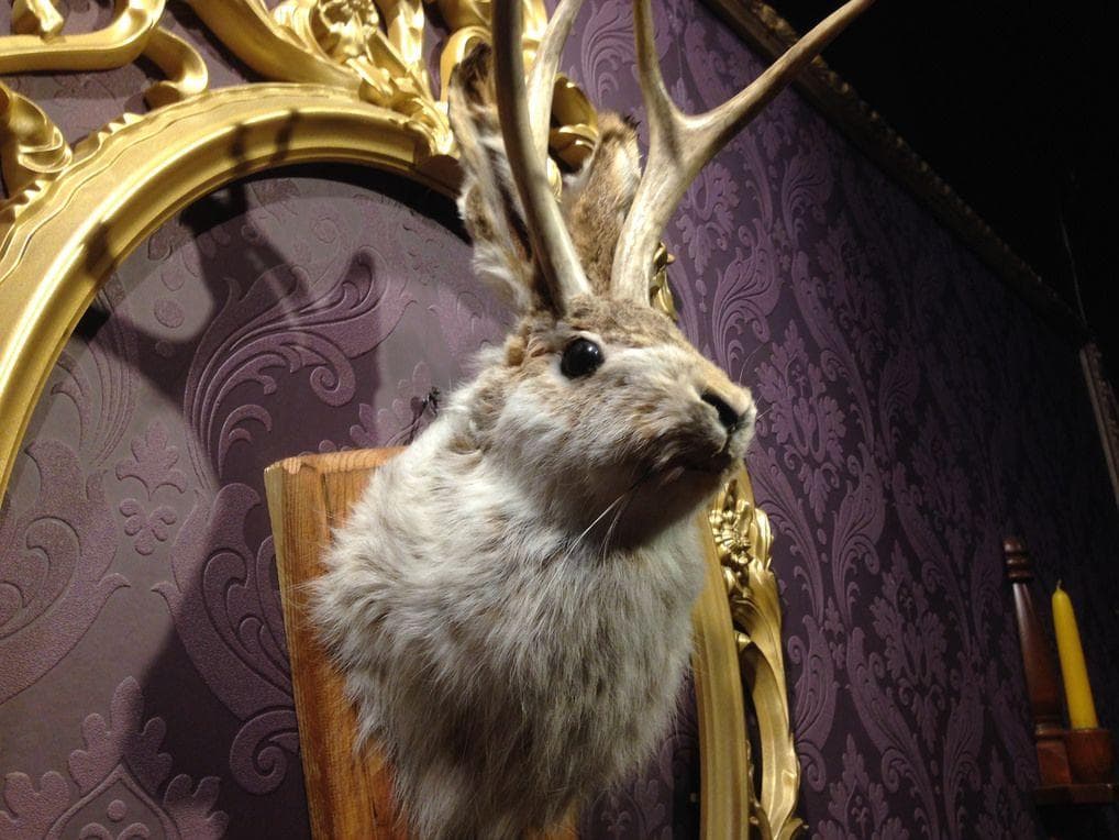 Funny Mythical Creatures That Some People Actually Believe Exist