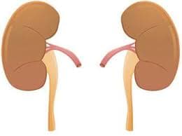 10 Telling Symptoms of Kidney Disease