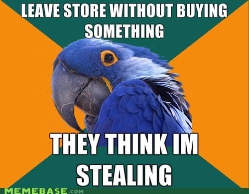 Paranoia Parrot Memes