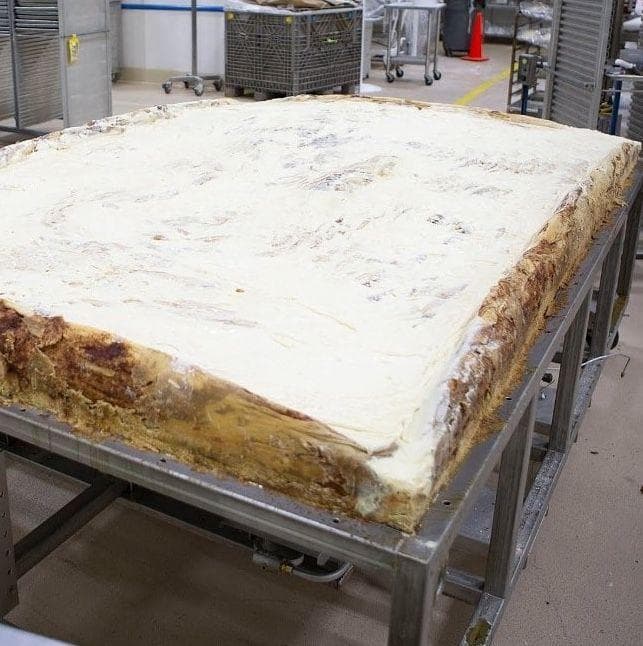 The World's Biggest Foods