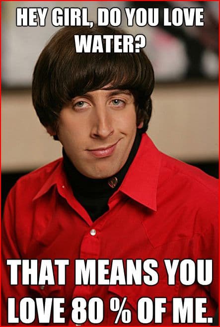 Howard Wolowitz Meme | List of the Pickup Line Scientist Meme