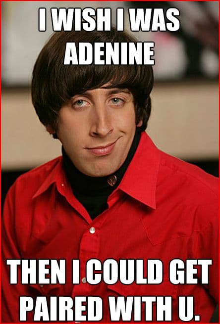 Howard Wolowitz Meme | List of the Pickup Line Scientist Meme