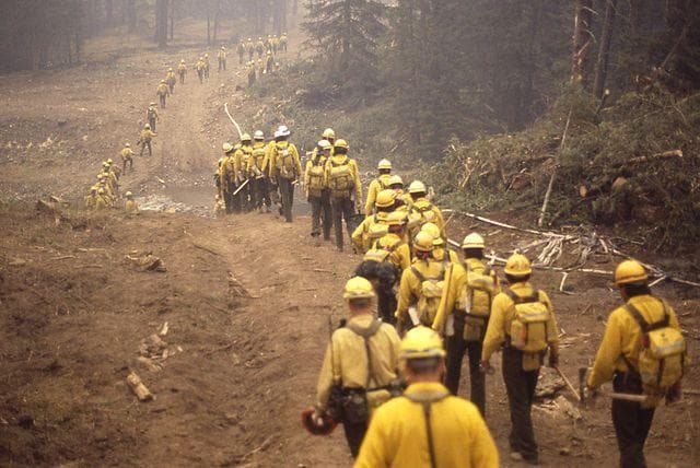 Largest Wildfires in US History | List of the Worst Wild Fires