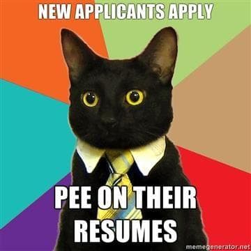 Business Cat Meme | List of Funny Business Cats