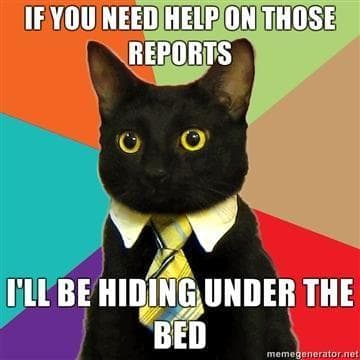 Business Cat Meme | List of Funny Business Cats
