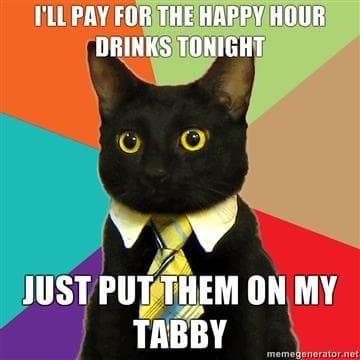 Business Cat Meme | List of Funny Business Cats