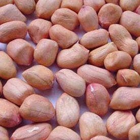 The Best Root Vegetables & Tubers