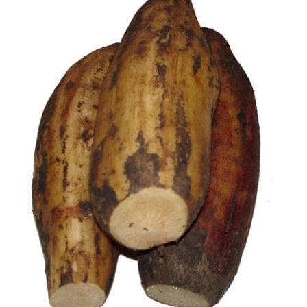 The Best Root Vegetables & Tubers