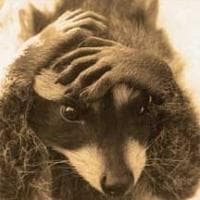 Most Disgusting Meats | List of Gross Meat-Based Foods