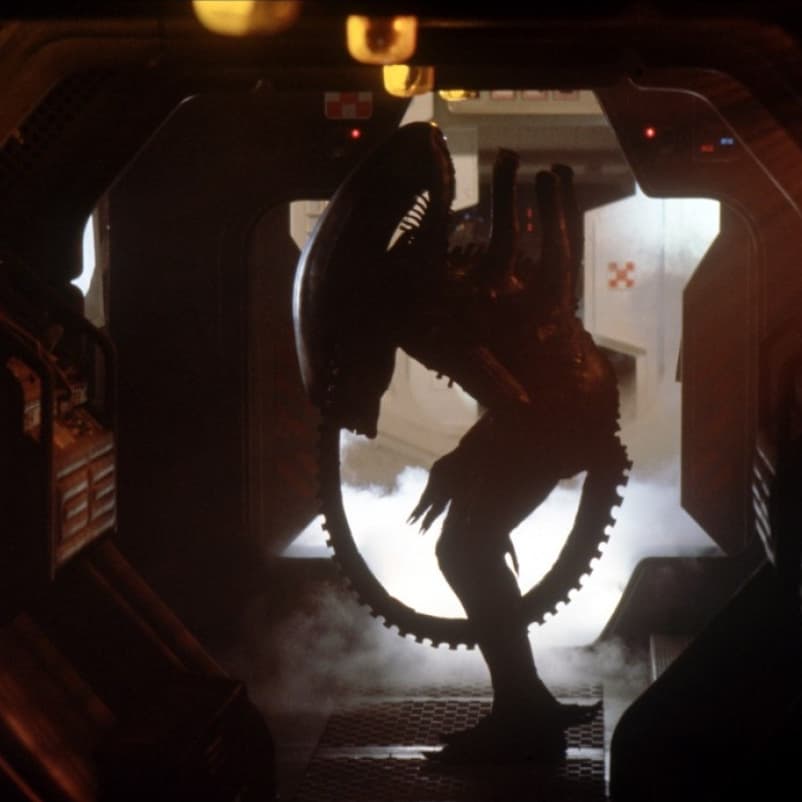 The 15 Best Quotes From 'Alien' (1979)