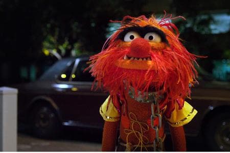 The 20 Best Quotes From 'The Muppets'