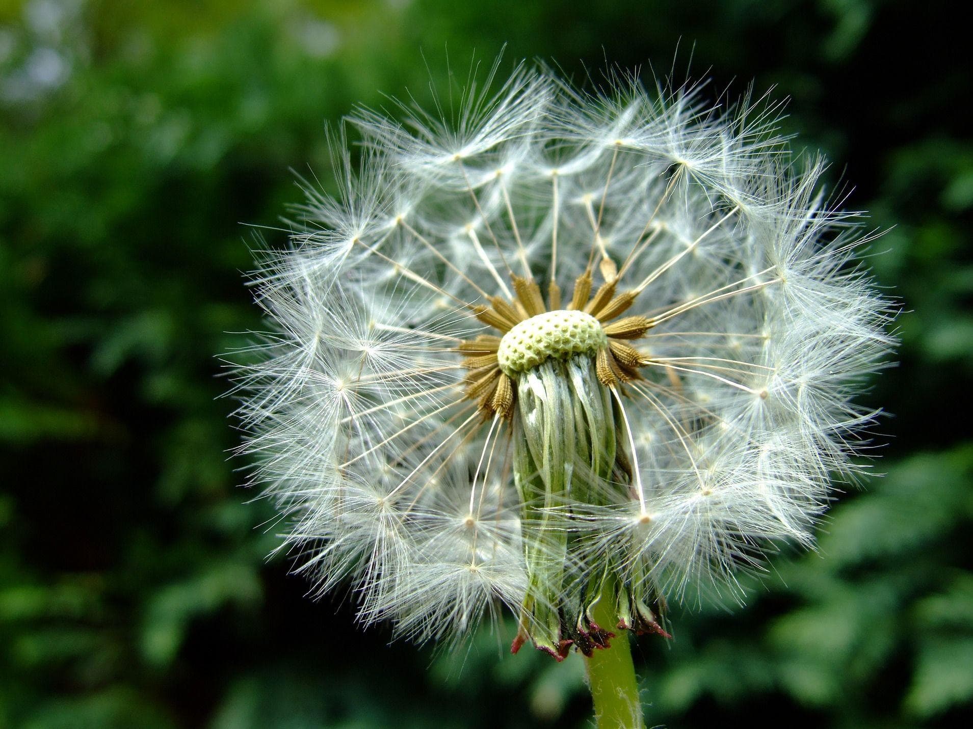 Common Superstitions | Famous Superstition Origins