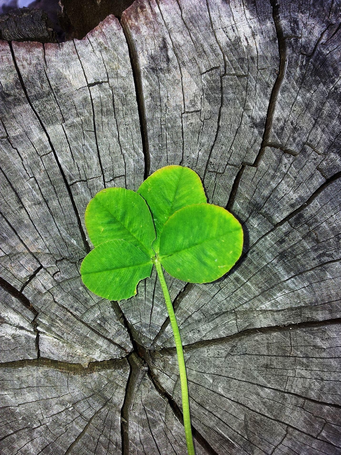 Common Superstitions | Famous Superstition Origins