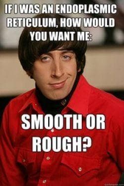 Howard Wolowitz Meme | List of the Pickup Line Scientist Meme