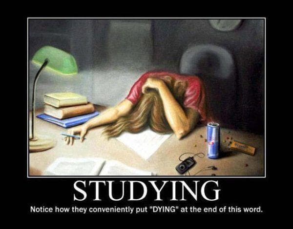 The 35+ Funniest Demotivational Posters, Ranked By Fans