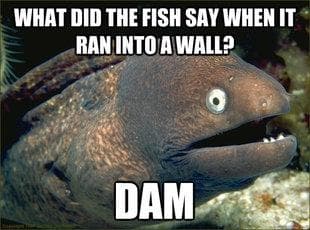 The Very Best of the Bad Joke Eel Meme