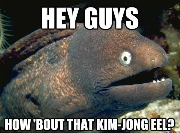 Eel Meme