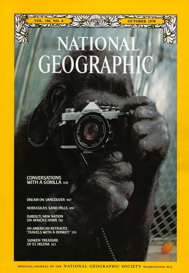 National Geographic Magazine Cover Images List National Geographic Magazine Cover Images List