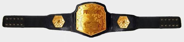 Championship Belts: Photo List of Championship Belts from All Sports