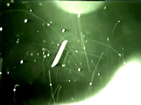 The 9 Most Successful Real-Life Alien Hoaxes