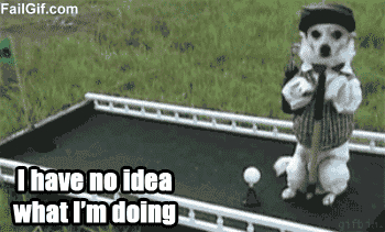 I Have No Idea What I'm Doing Meme | List of Science Dog Memes