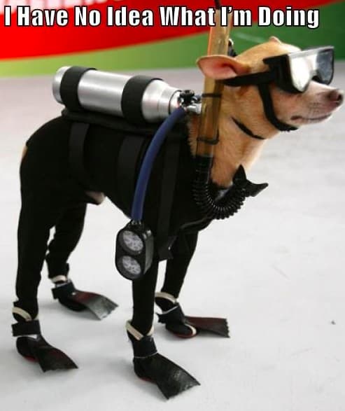 I Have No Idea What I'm Doing Meme | List of Science Dog Memes