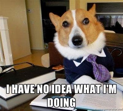 I Have No Idea What I'm Doing Meme | List of Science Dog Memes