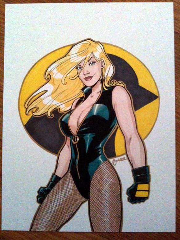 Sexy Black Canary Pictures