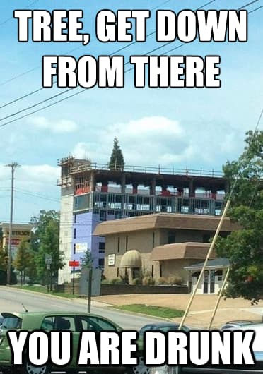 The Very Best of the "You Are Drunk" Meme