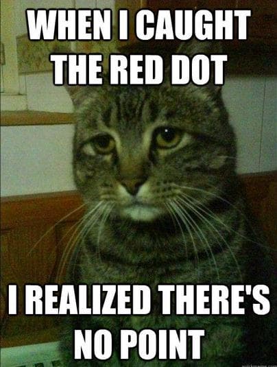 The Very Best of the Depressed Cat Meme