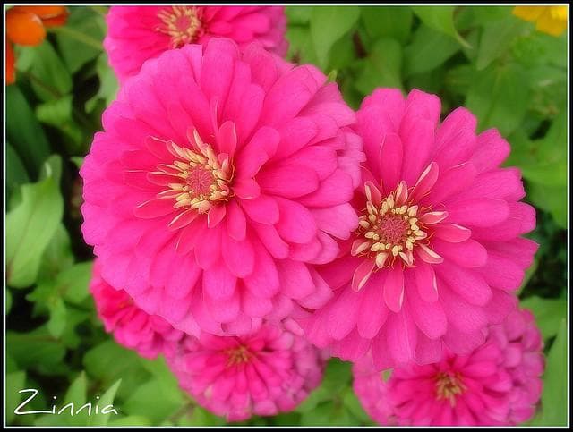 Most Beautiful Colors | List of Prettiest, Most Popular Colors