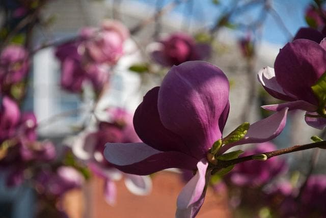 Most Beautiful Colors | List of Prettiest, Most Popular Colors