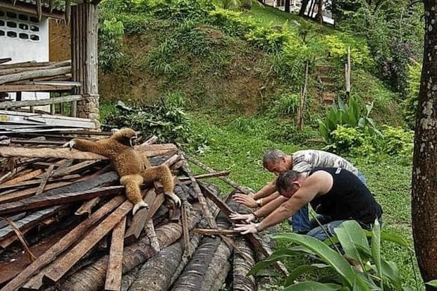 The Best Pictures of Animals Sitting Like Humans