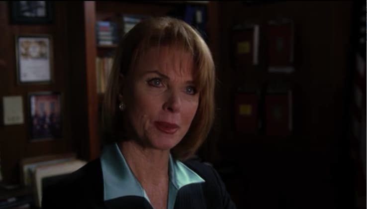 The Most Despicable Defense Attorneys on 'Law & Order: SVU'