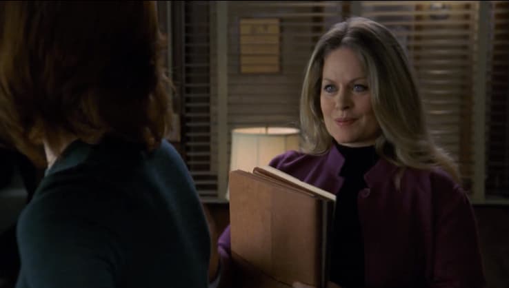 The Most Despicable Defense Attorneys on 'Law & Order: SVU'