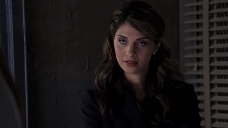 The Most Despicable Defense Attorneys on 'Law & Order: SVU'