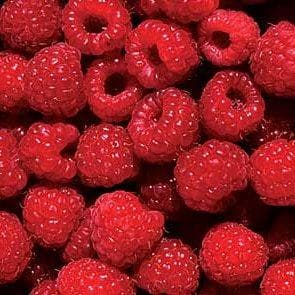 The Best Things to Dip in Chocolate Fondue