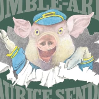 65+ Sesame Street Characters With Names