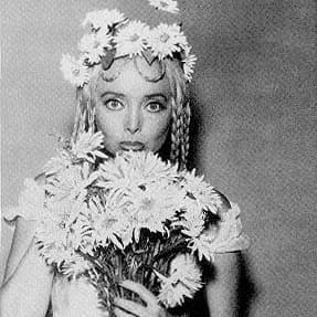 The Addams Family Characters List w/ Photos, Ranked Best to Worst