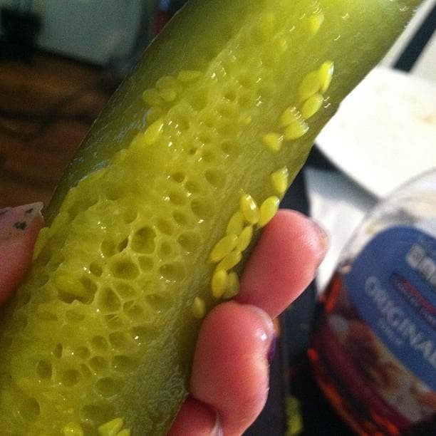 These Vomit-Inducing Photos Will Trigger Your Trypophobia