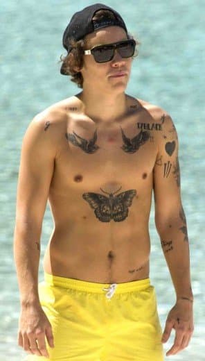 One Direction's Harry Styles and His (Over 40!) Tattoos