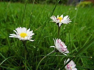 Best Months of the Year | Top Seasons, Ranked