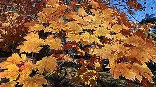 Best Months of the Year | Top Seasons, Ranked