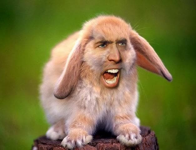 28 Amazing Nicolas Cage Face Swap Photos