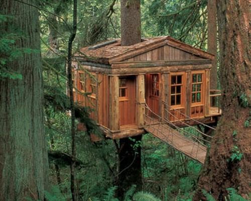The Coolest Treehouses in the World