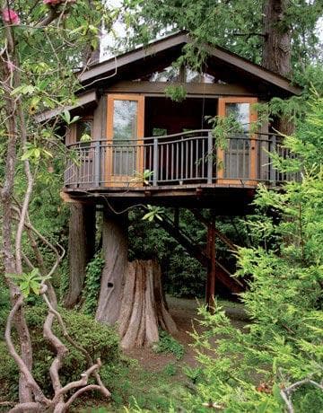 The Coolest Treehouses in the World