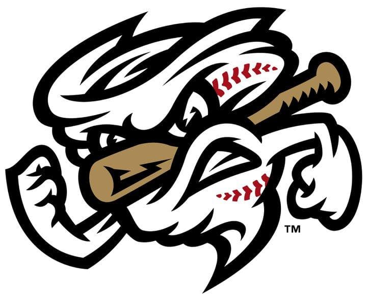 The 20 Best Minor League Baseball Logos, Ranked